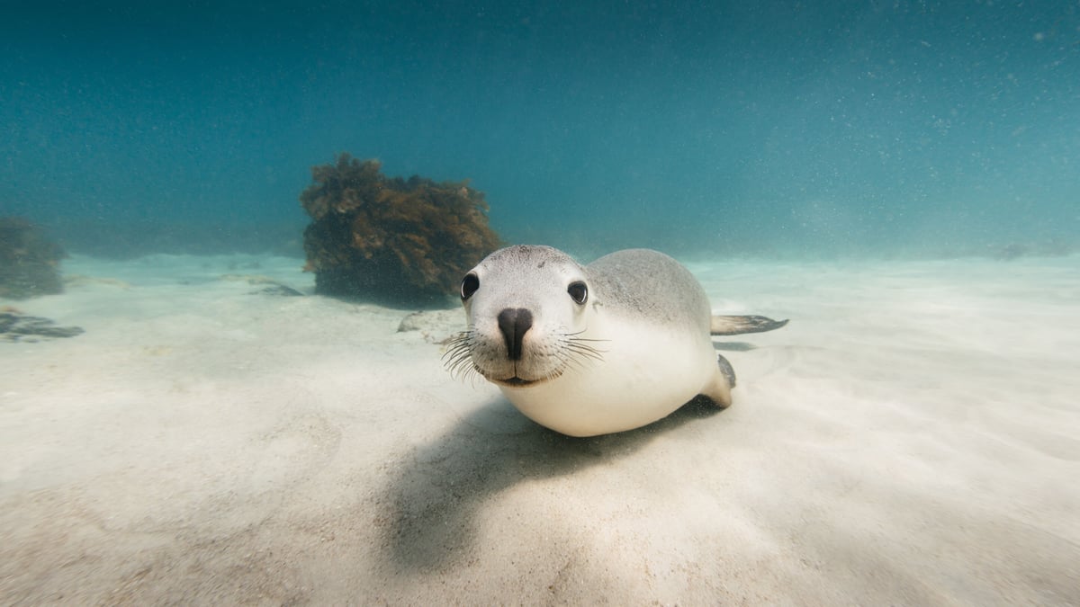 Tours - Australian Geographic Travel